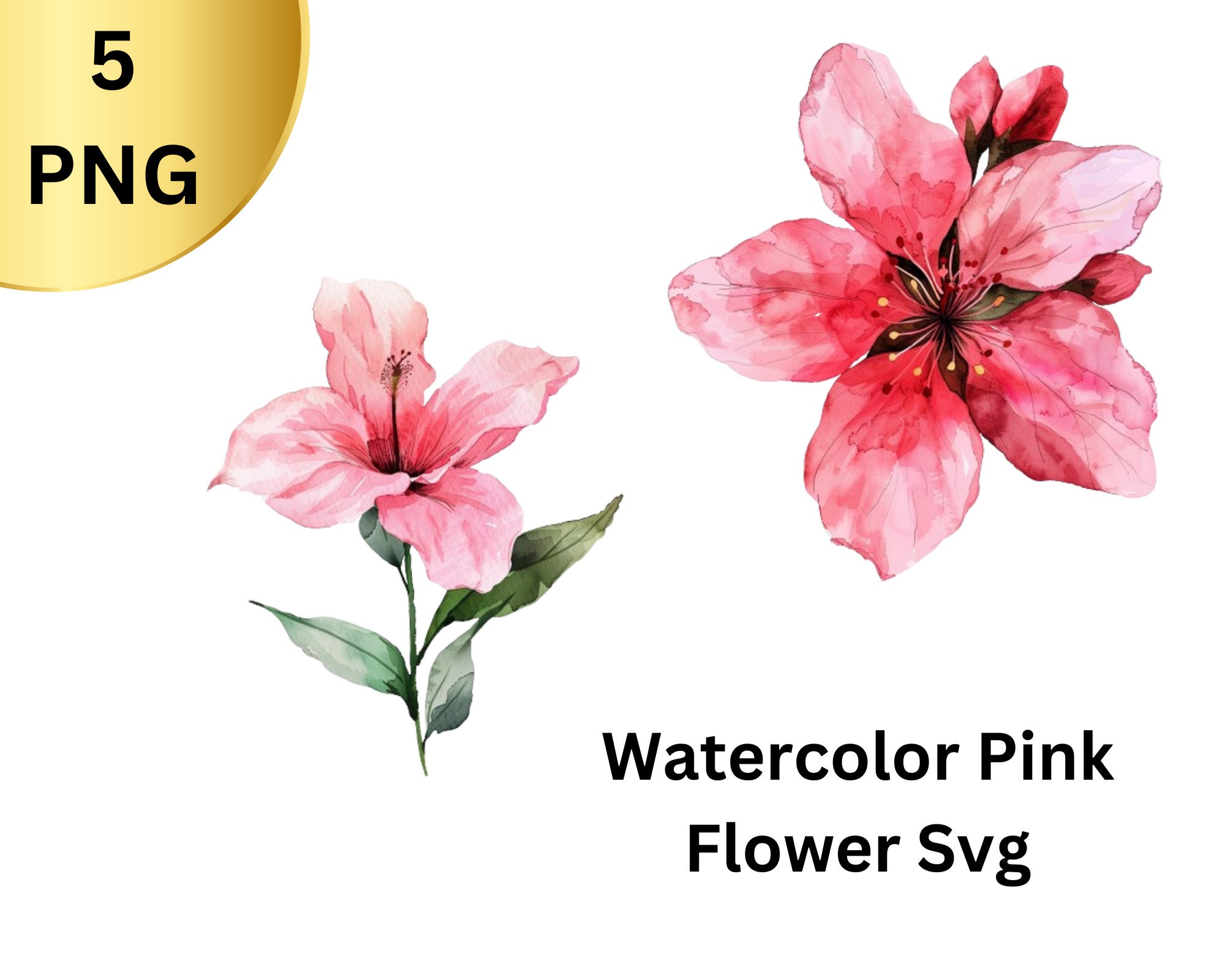 Set of 5, Pink Flower SVG, Floral PNG, Watercolor SVG, Pink Floral ...