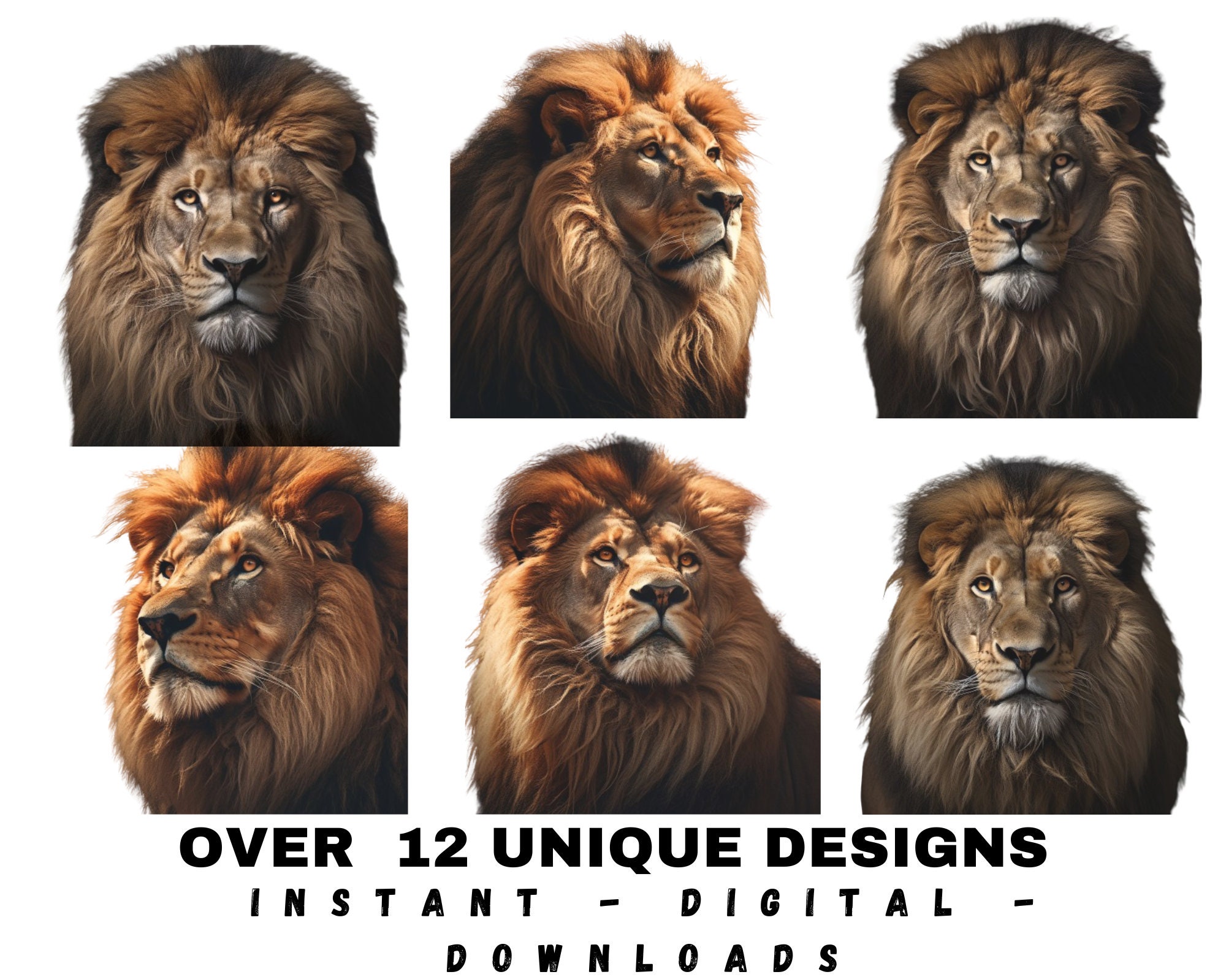 Lion Svg Bundle, Safari Animals Svg, King of the Jungle, Lion Vector, Lion PNG, Lion Cricut ...
