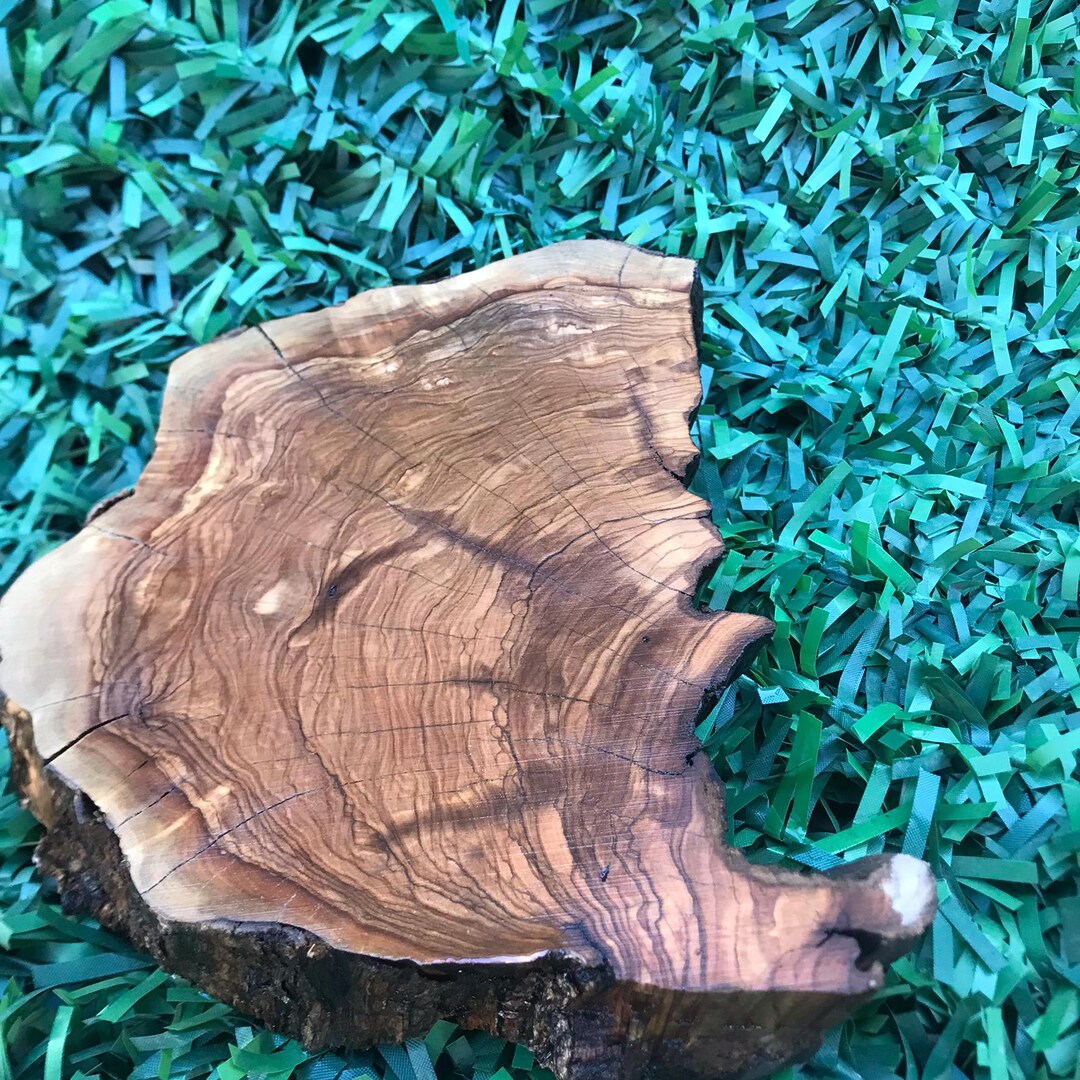 Unique Olive Root Epoxy Wood Slice Wood Raw Edge Resin Handmade Turkish ...