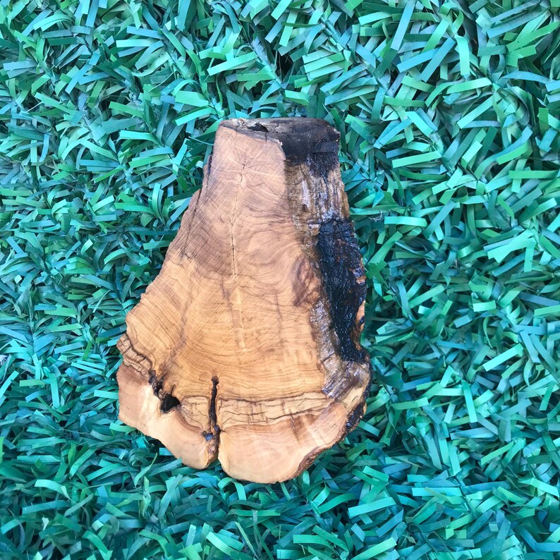Turkish Olive Root Plate, Small Wood Slab Wood Raw Edge Resin Handmade ...