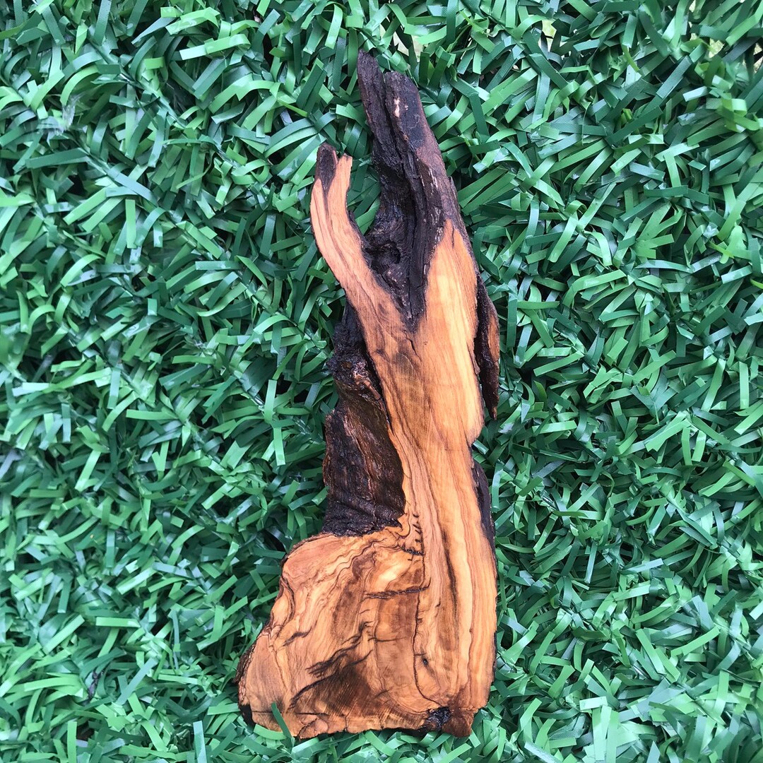Turkish Olive Root Plate, Small Wood Slab Wood Raw Edge Resin Handmade ...