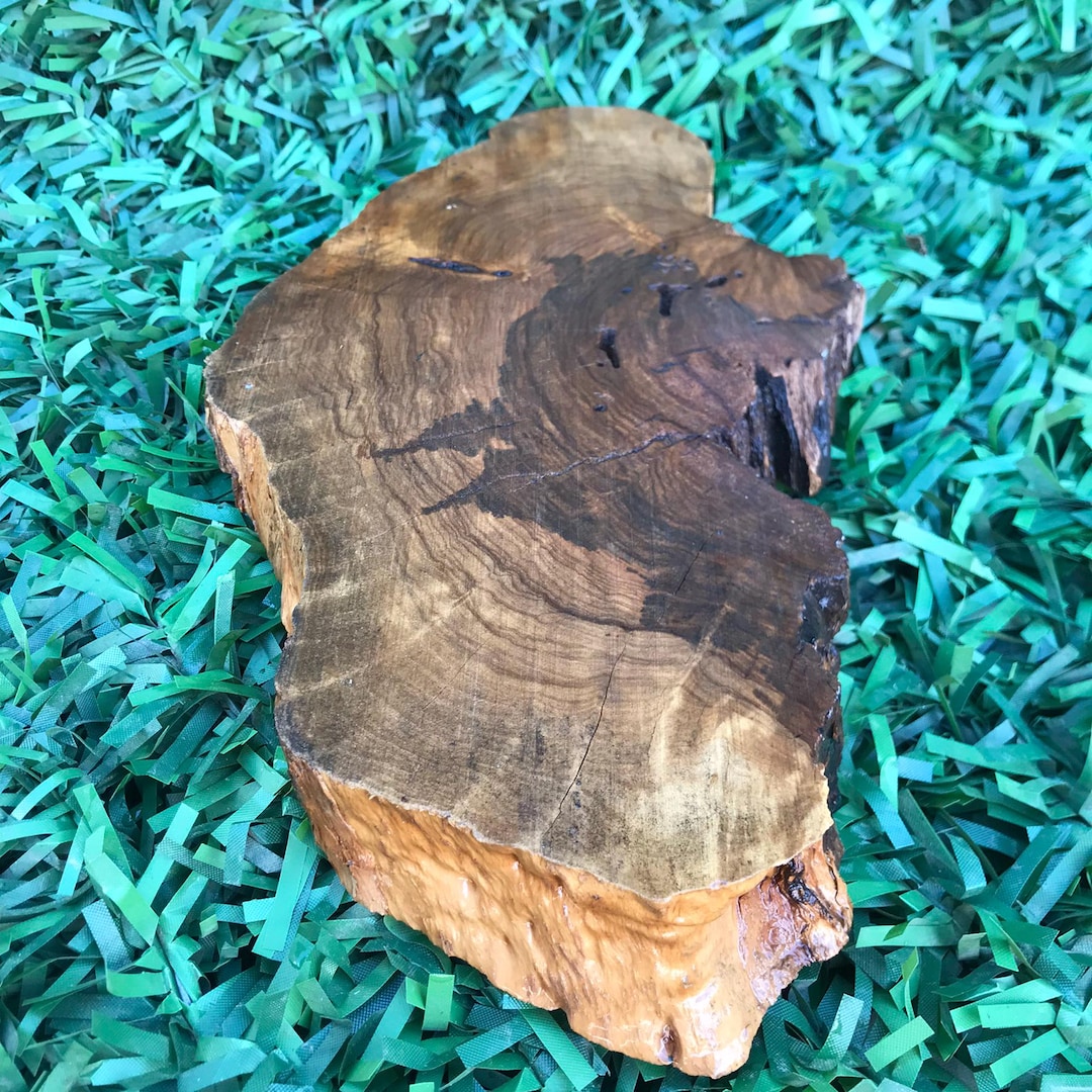 Turkish Olive Root Plate, Small Wood Slab Wood Raw Edge Resin Handmade ...