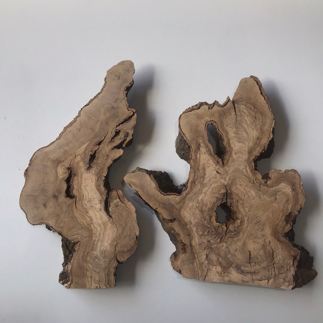 Unique Wood Slice Wood Raw Edge Resin Handmade Turkish Wood Planks Live ...