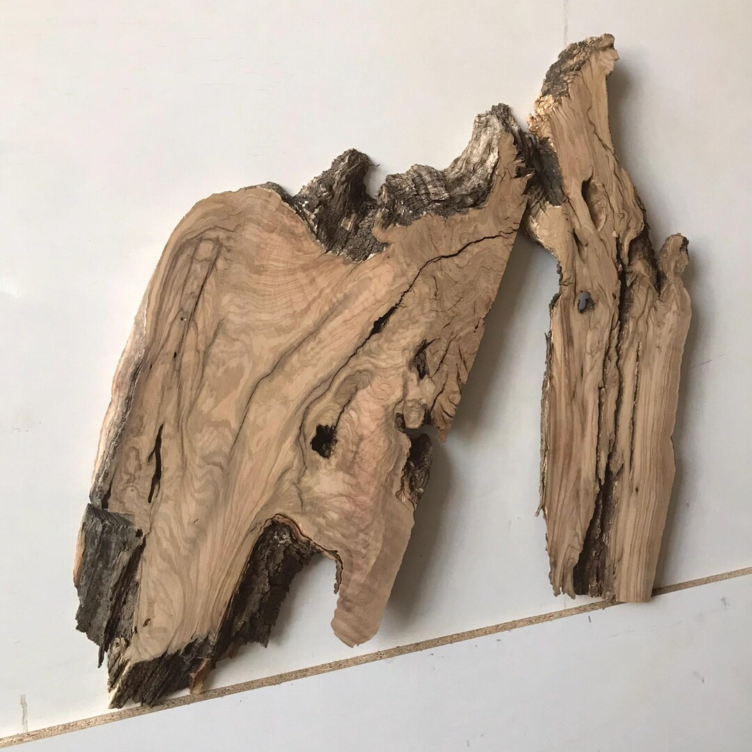 Unique Wood Slice Wood Raw Edge Resin Handmade Turkish Wood Planks Live ...