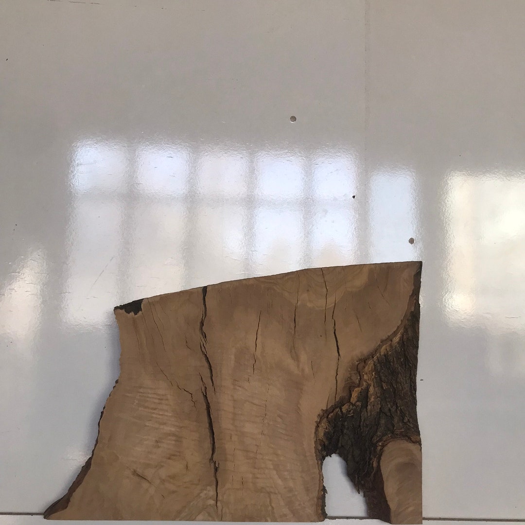 Unique Wood Slice Raw Edge Epoxy Resin Handmade Turkish Wood Planks ...