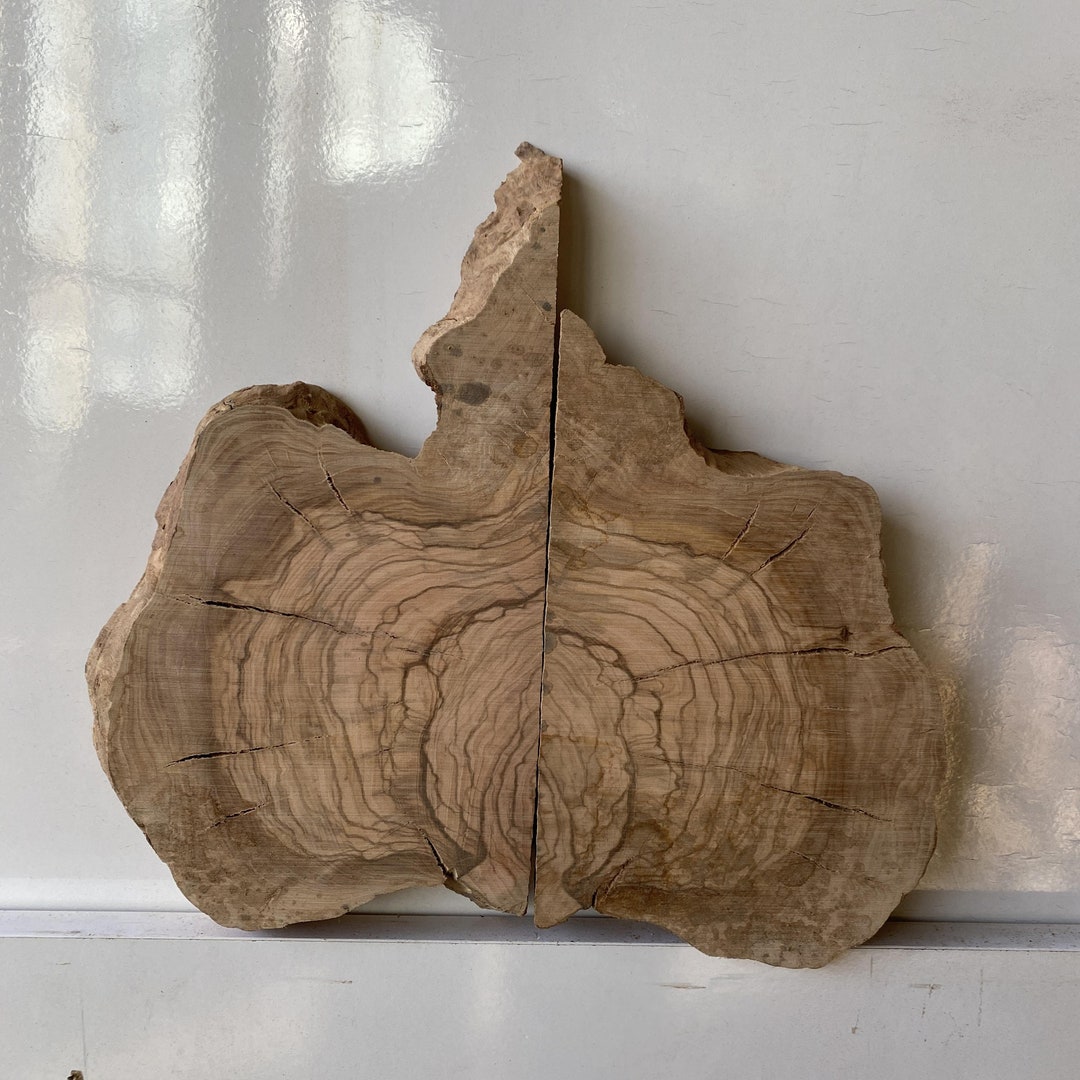 Turkish Olive Root Plate, Olive Epoxy Table, Clock, Epoxy Wall ...