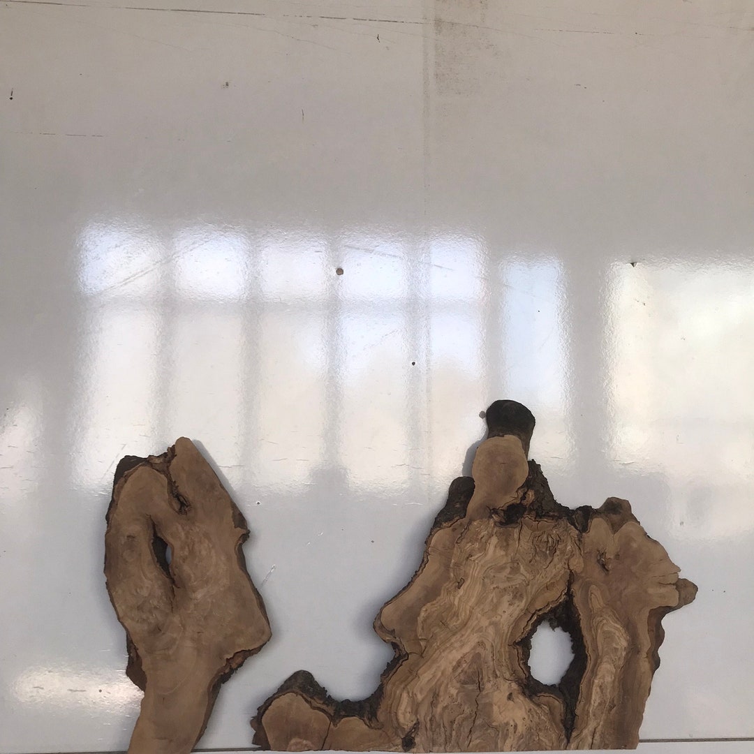 Olive Root Wood Slice Wood Raw Edge Resin Handmade Turkish Wood Planks ...
