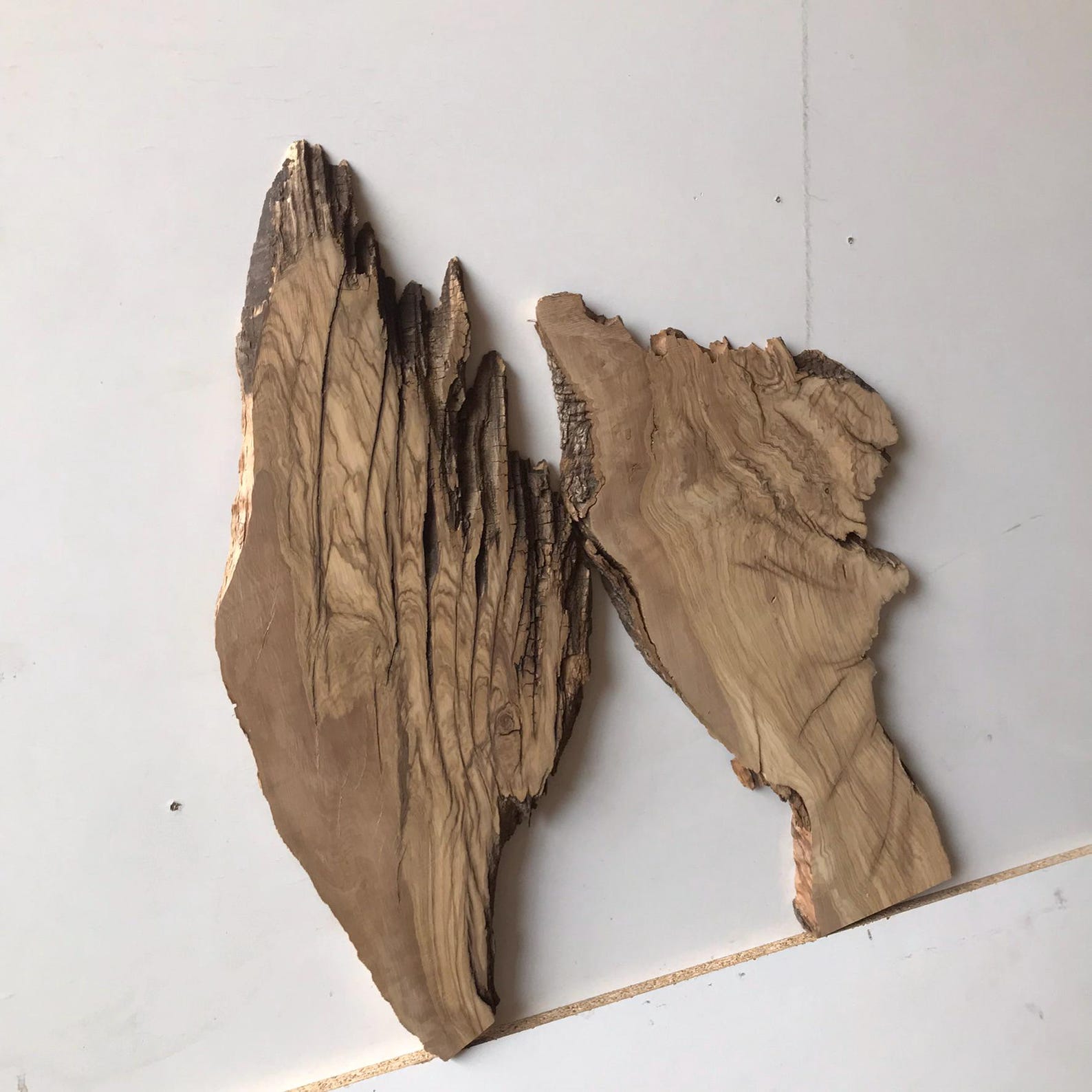 Olive Root Wood Slice Wood Raw Edge Resin Turkish Wood Epoyx Resin Wood ...