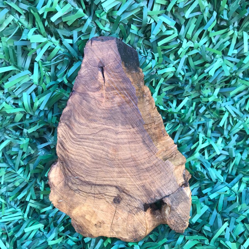 Turkish Olive Root Plate, Small Wood Slab Wood Raw Edge Resin Handmade ...