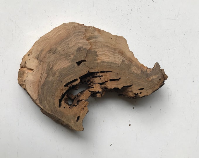 Olive Root Wood Slice Wood Raw Edge Resin Handmade Turkish Wood Planks ...