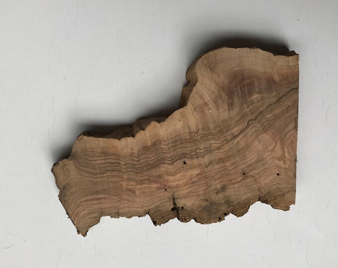 Olive Root Wood Slice Wood Raw Edge Resin Handmade Turkish Wood Planks ...