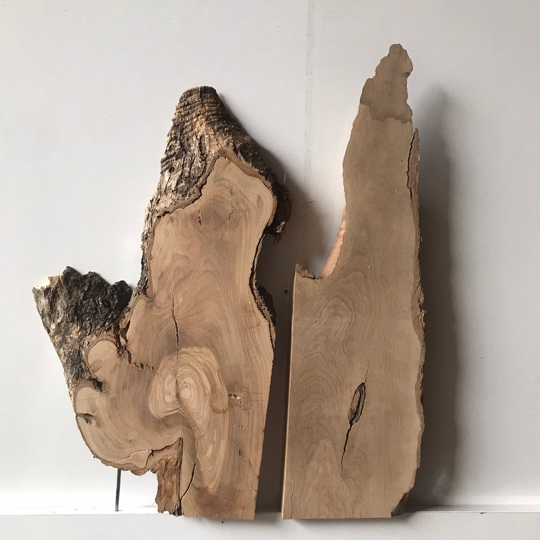 Unique Wood Slice Wood Raw Edge Resin Handmade Turkish Wood Planks Live ...