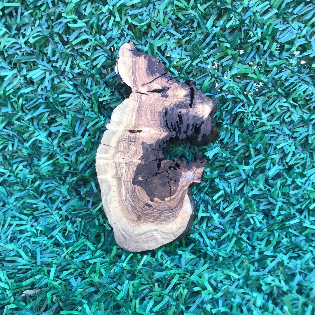 Unique Olive Root Epoxy Wood Slice Wood Raw Edge Resin Handmade Turkish ...