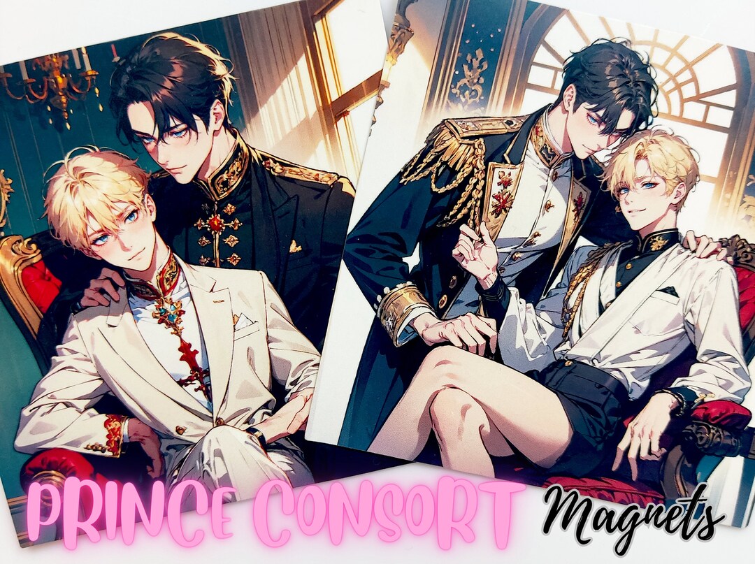 BL Magnet Pack - Prince Consort Bundle - Bishounen, Pretty Boy ...