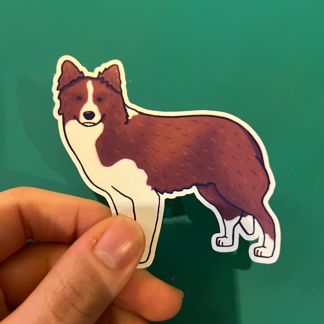 Border Collie Stickers (multiple Colours) - Etsy