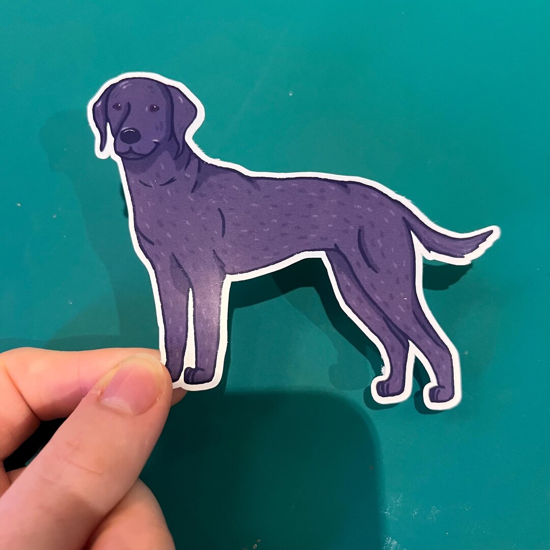 Labrador Stickers (multiple Colours) - Etsy
