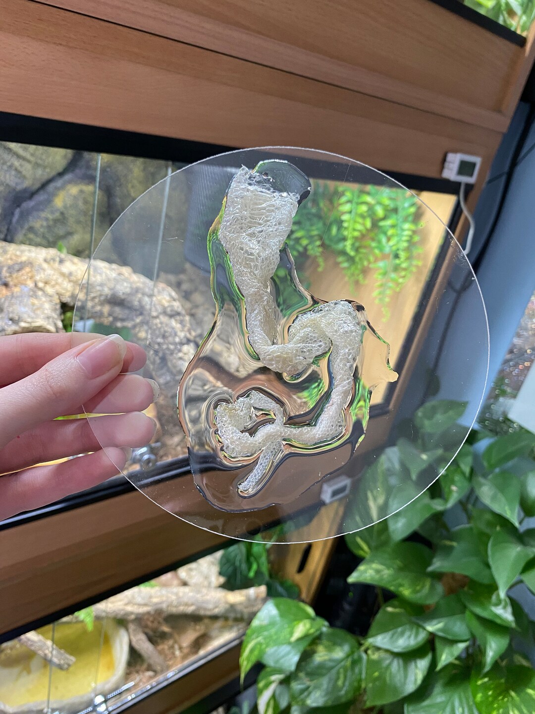 Circle Snake Shed & Stand - Etsy