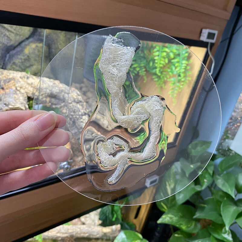 Snake Sheds - Etsy