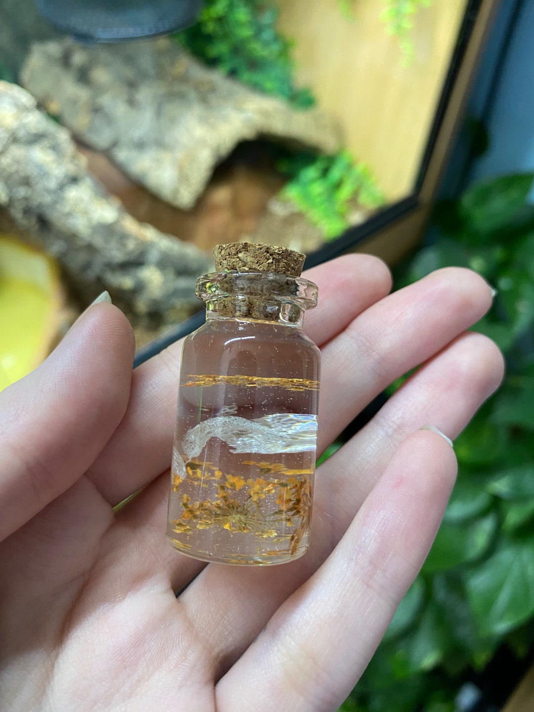 YJ2 - Yellow Real Gecko Shed Resin Jar - Etsy