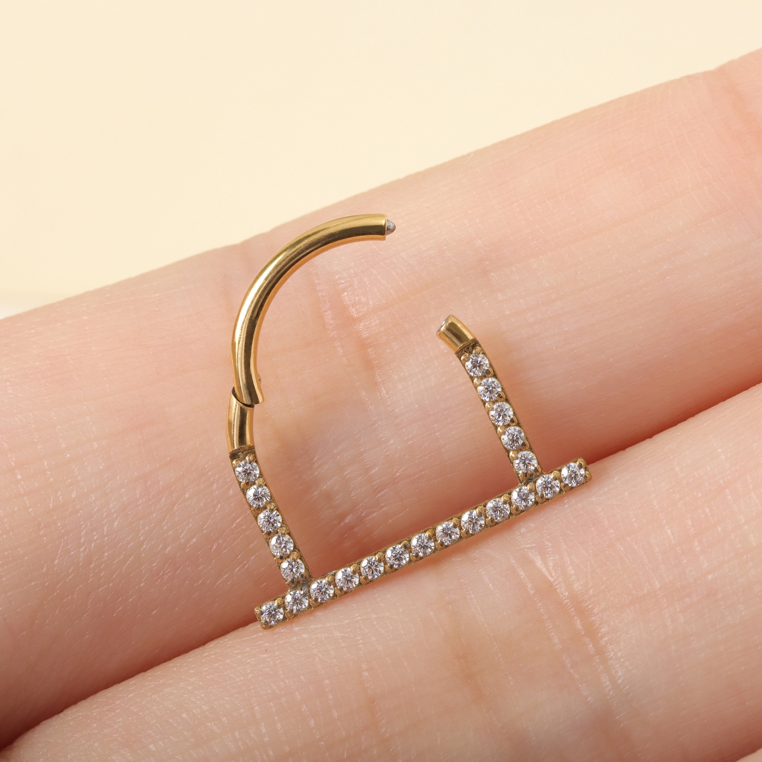 Titanium Implant Grade Septum Ring, Hinged Septum Hoop, 16G Septum ...