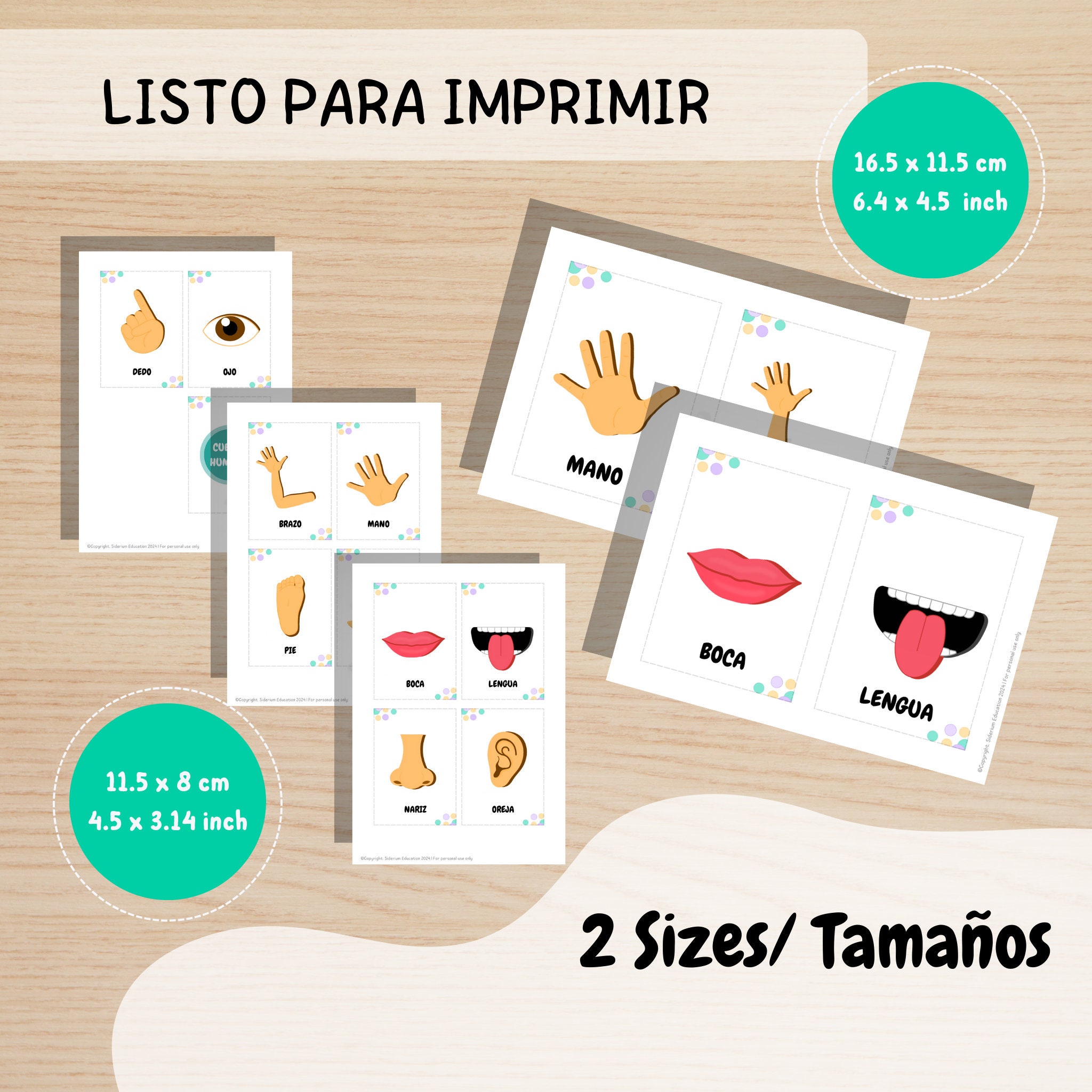 Body Parts Flashcards in Spanish for Kindergarten Teacher Flashcards ...