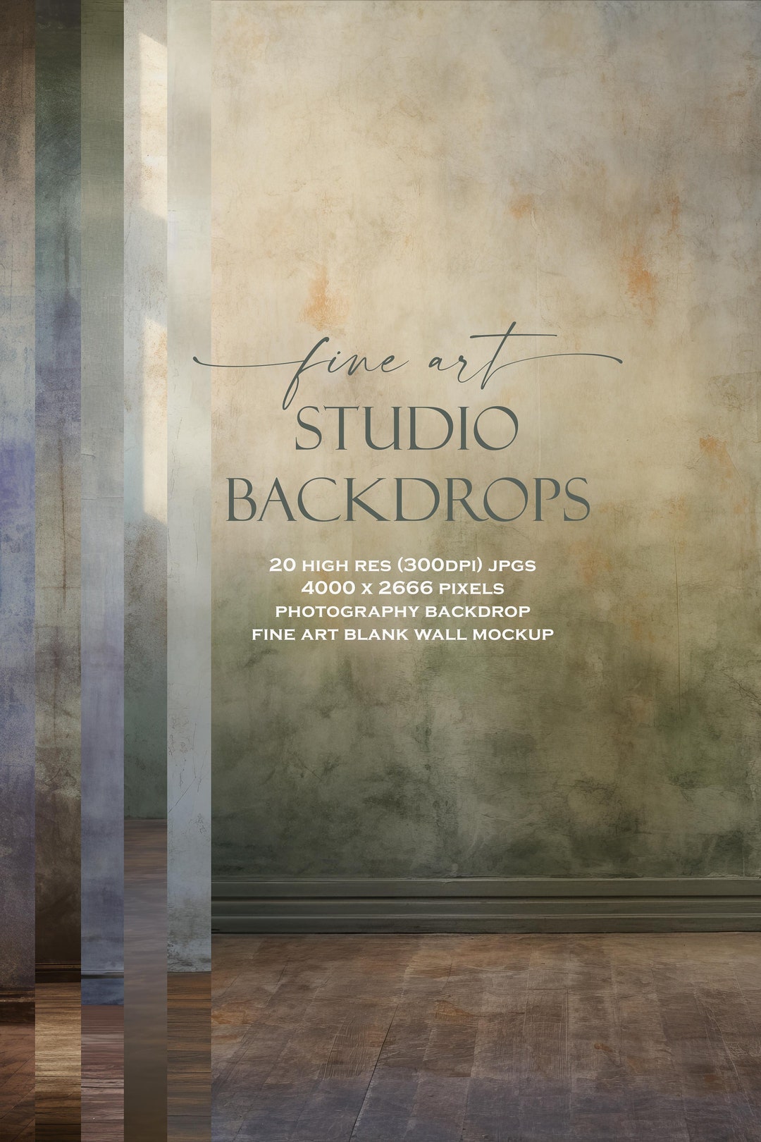 Fine Art Digital Studio Backdrop Bundle (20), Digital Backdrop, Photo ...