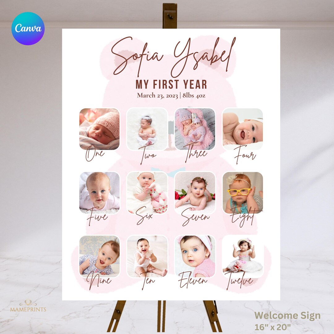 First Birthday Milestone Sign, Milestone Board First Birthday, Pink ...