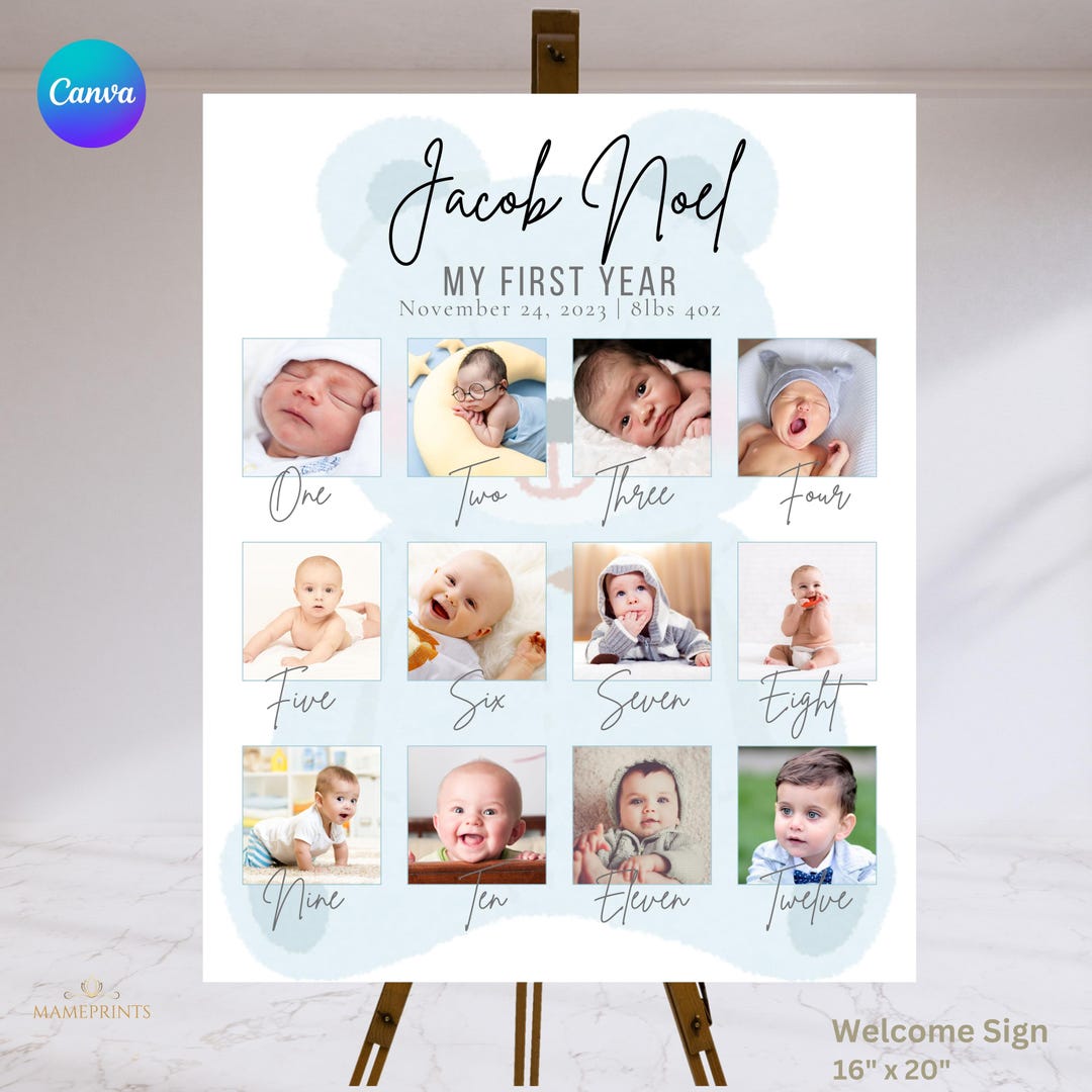First Birthday Milestone Sign, Milestone Board First Birthday, Blue ...