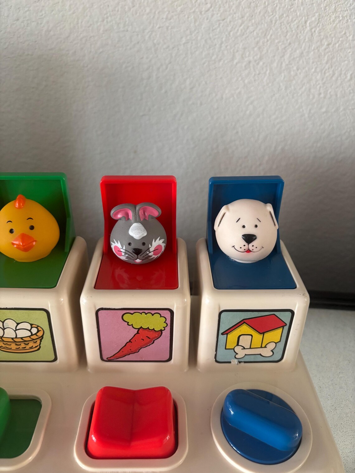 1984 Pop up Pets Shelcore Toy - Etsy