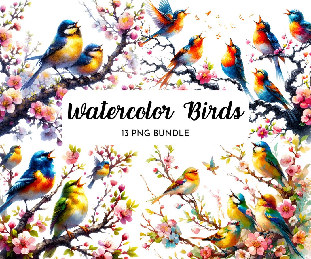 Spring Bird Silhouette & Floral Clipart Set - Cute Watercolor Birds on ...
