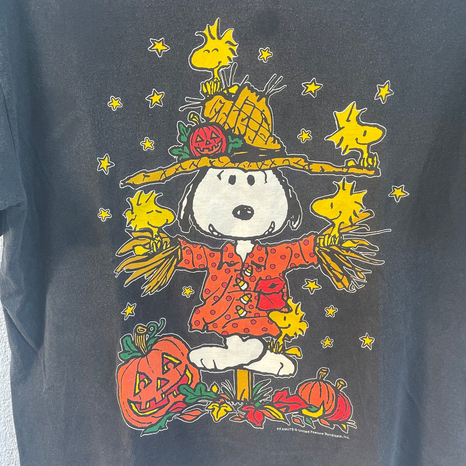 Vintage Peanuts Snoopy Halloween Scarecrow Tshirt Size XL - Etsy