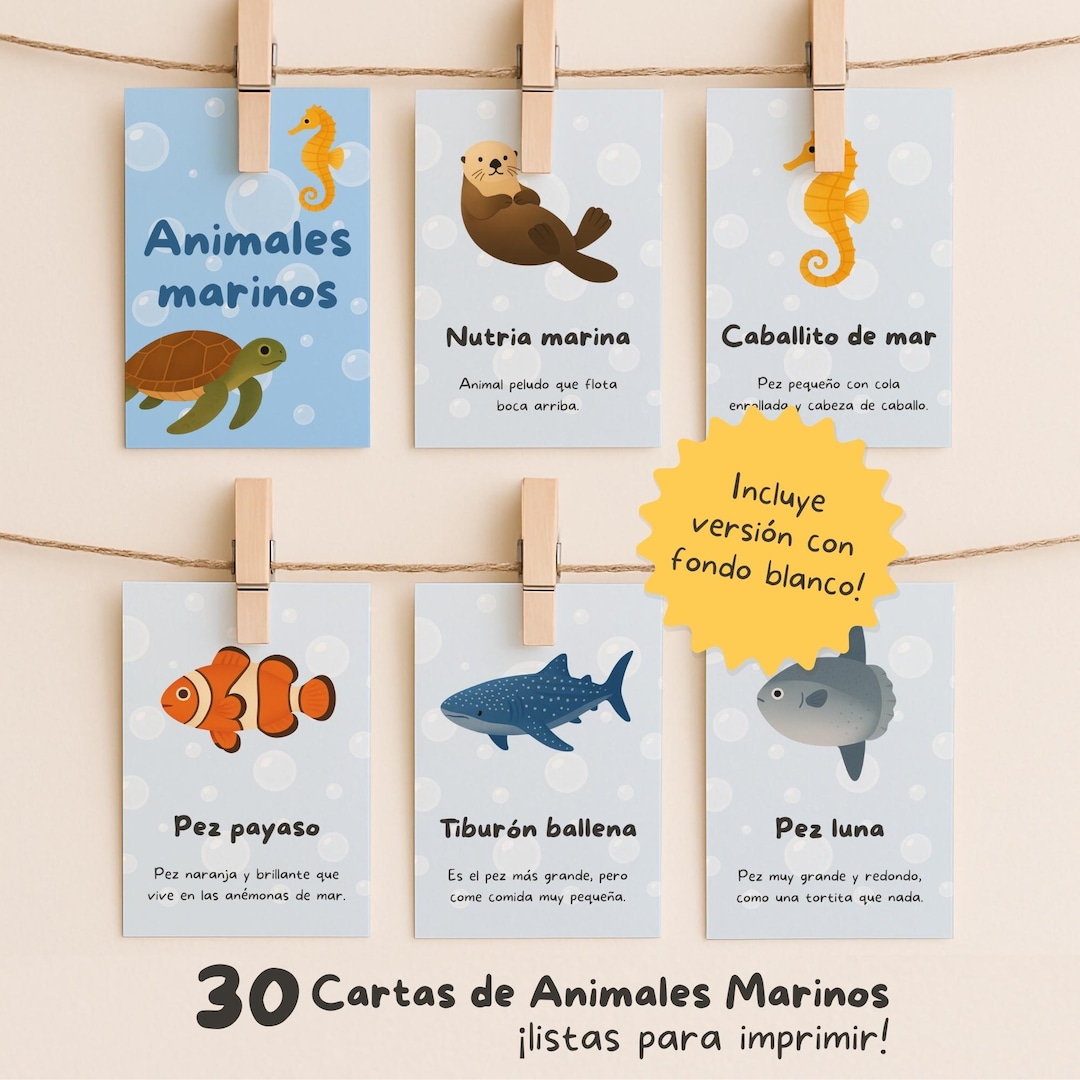 Tarjetas Imprimibles De Animales Marinos – Español – Aprendizaje ...