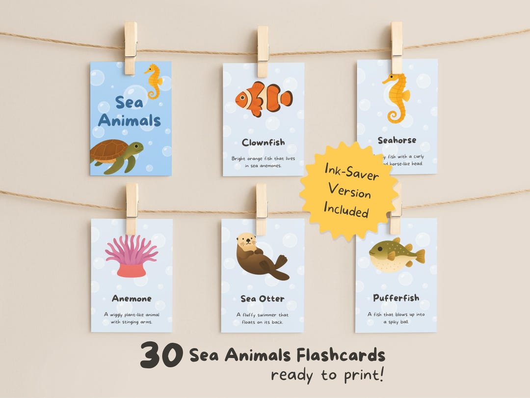 Animal Cards - Marine Animals Flashcards - English (printable PDF & PNG ...