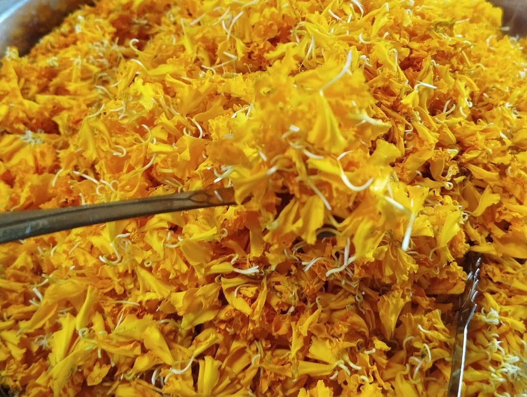 Dried Organic Edible Marigold | Organic Calendula | Marigold Tea ...