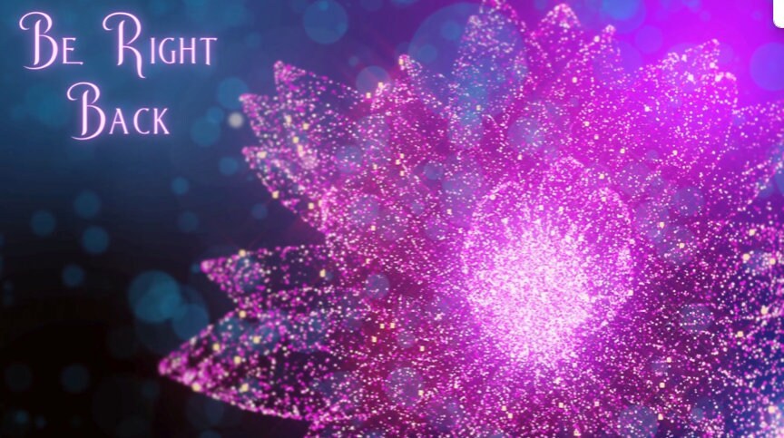 Animated Pink/purple Flower Layout, Starting, Be Right Back, Ending - Etsy