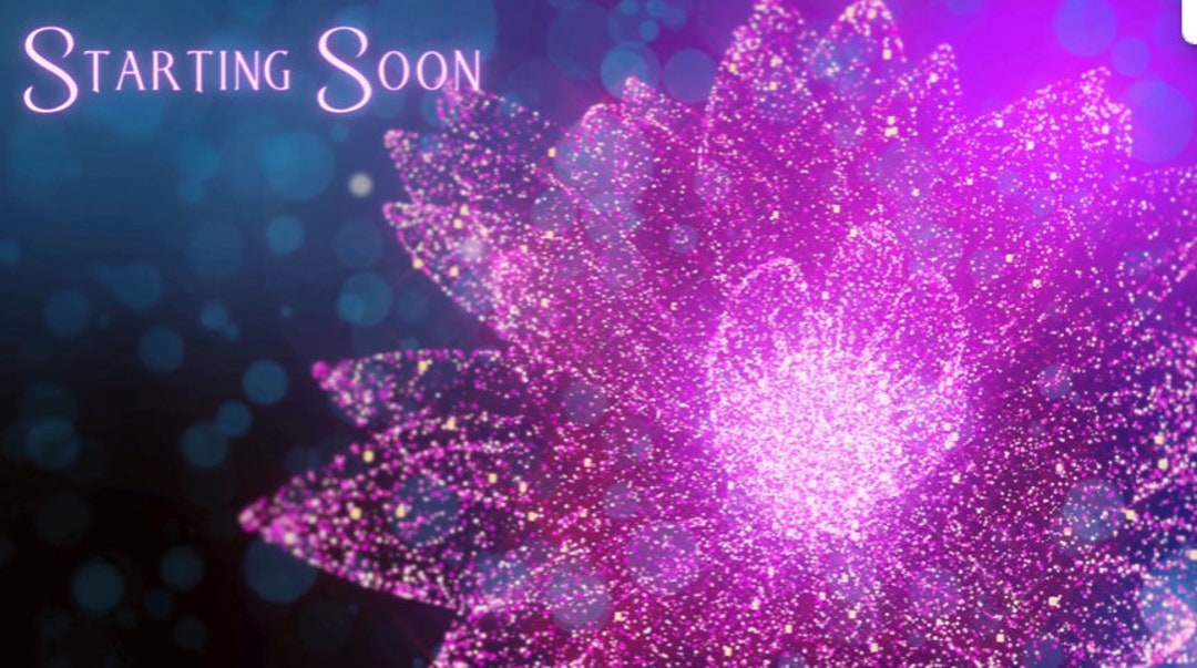 Animated Pink/purple Flower Layout, Starting, Be Right Back, Ending - Etsy