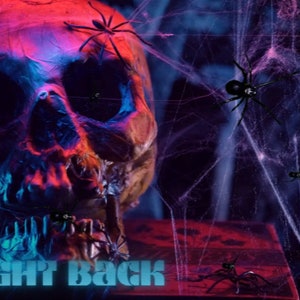 Animated Layouts, Starting, BRB, Ending. Spiders and Skull. - Etsy