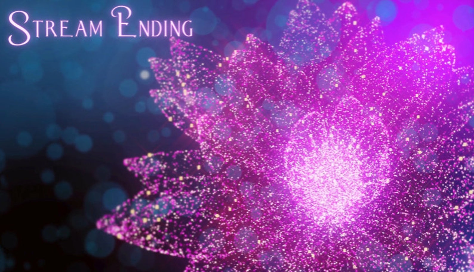 Animated Pink/purple Flower Layout, Starting, Be Right Back, Ending - Etsy