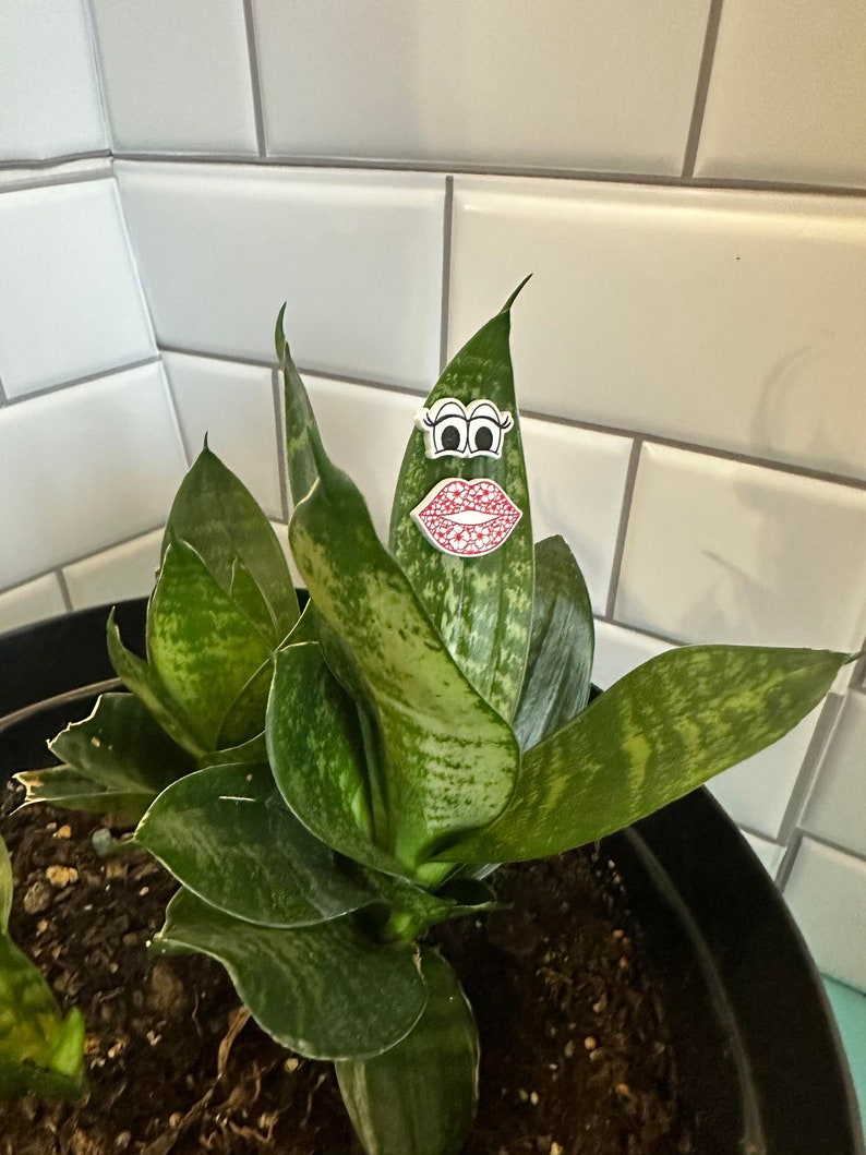 Plant Eye Set 3, Plant Eyes, Plant Bling - Etsy