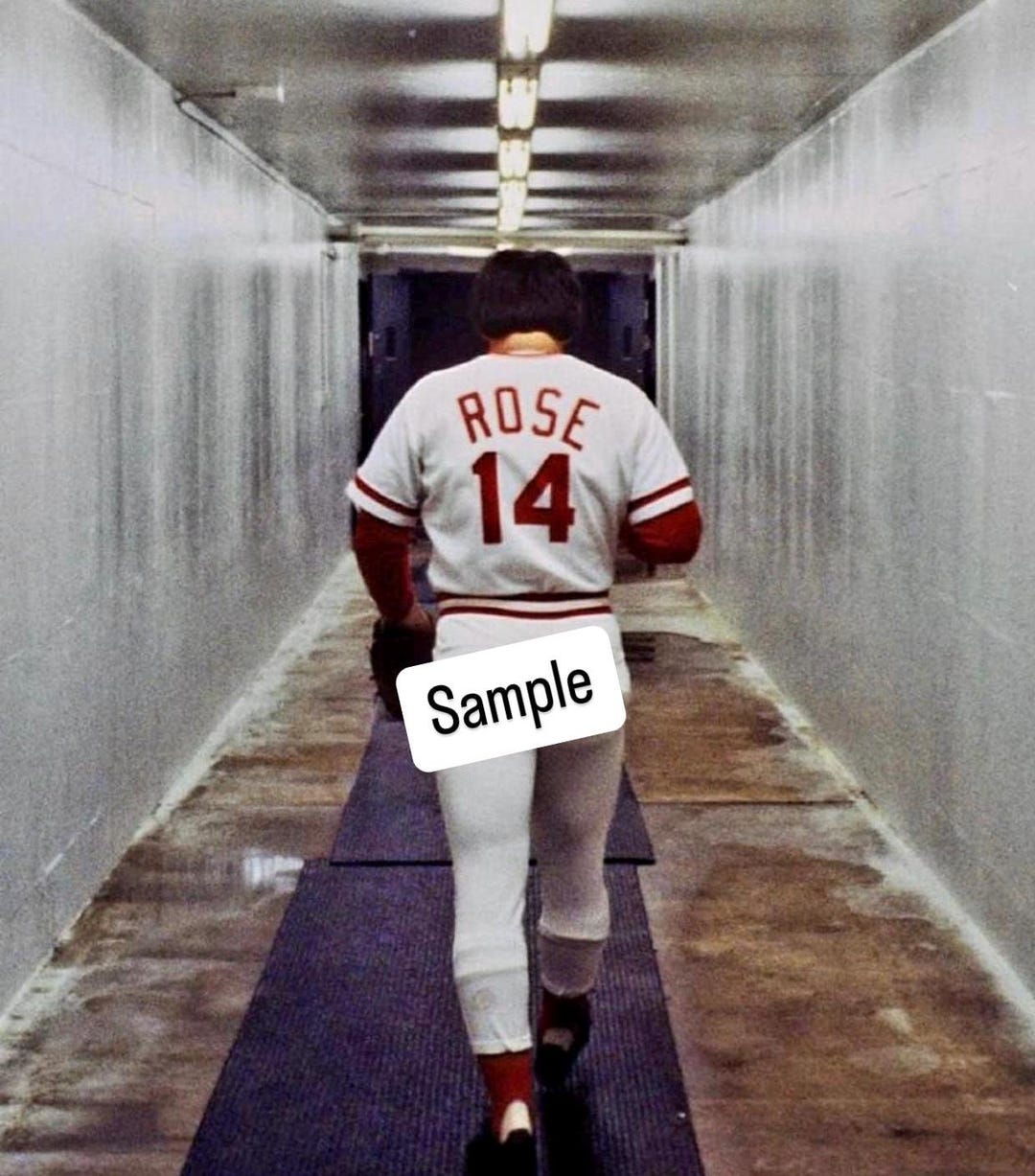 Pete Rose RIP Cincinnati Reds Big Red Machine Lineup MLB BASEBALL ...