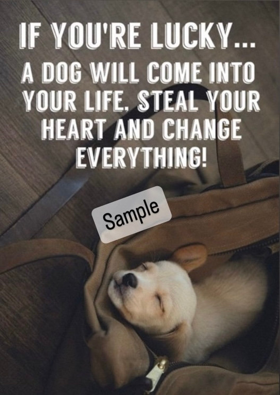 Dog Quote Poster Photograph Print, Cute Puppy Wall Art, Animal Lovers ...