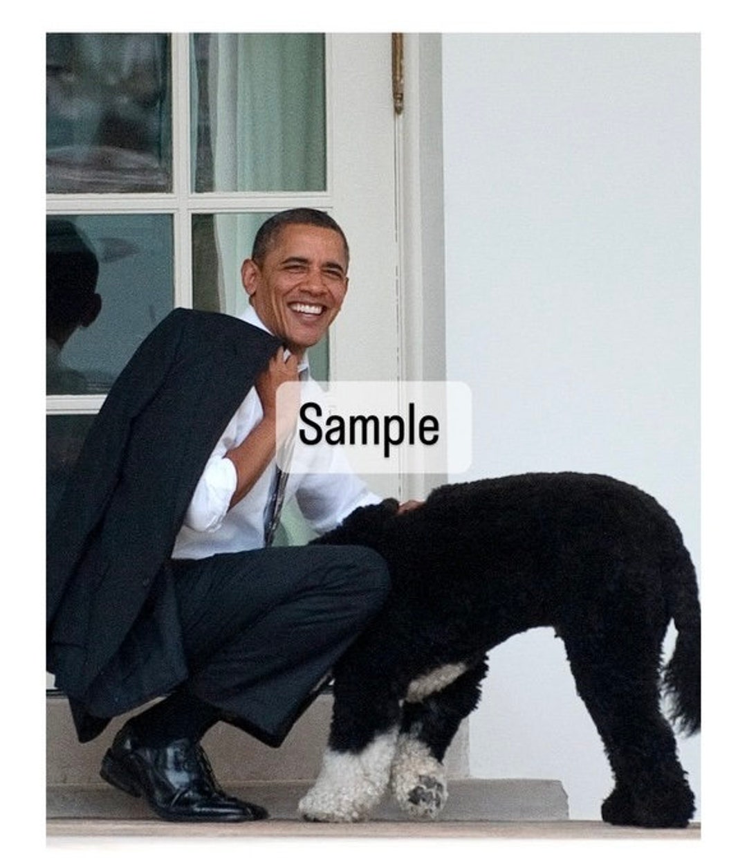 PRESIDENT OBAMA and His Dog BO Poster Photograph Print, Famous People ...