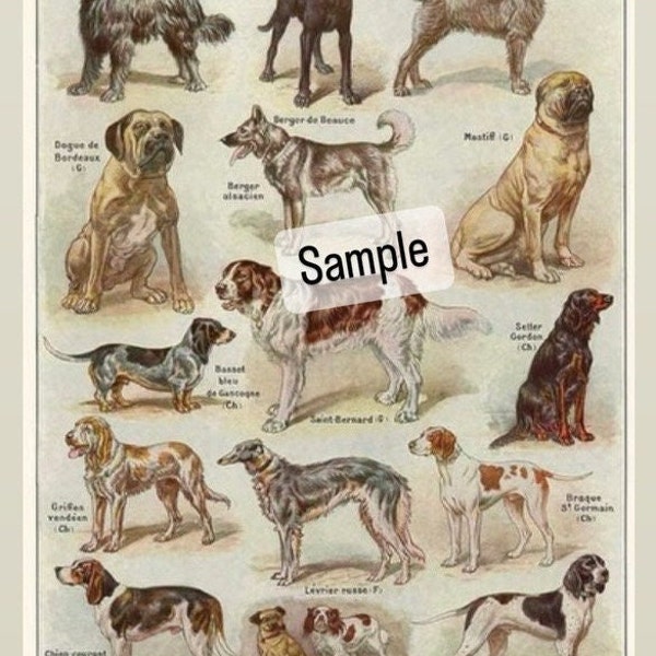 Dog Breeds Poster (Just for you!) - Etsy