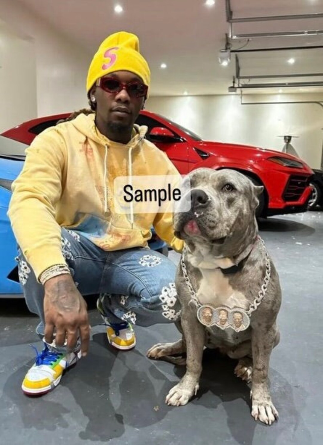 Rapper OFFSET With His Pitbull Dog WALK Poster Photo Print, Stars and ...