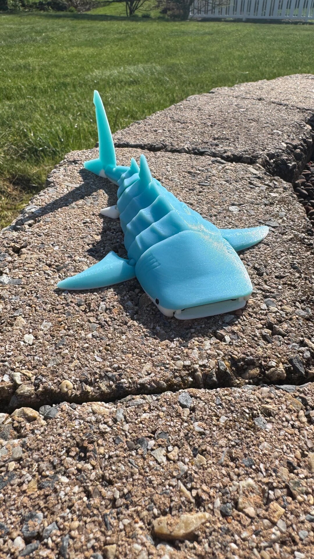 Articulated Whale Shark – 3D Printed Poseable Sea Creature | Realistic ...