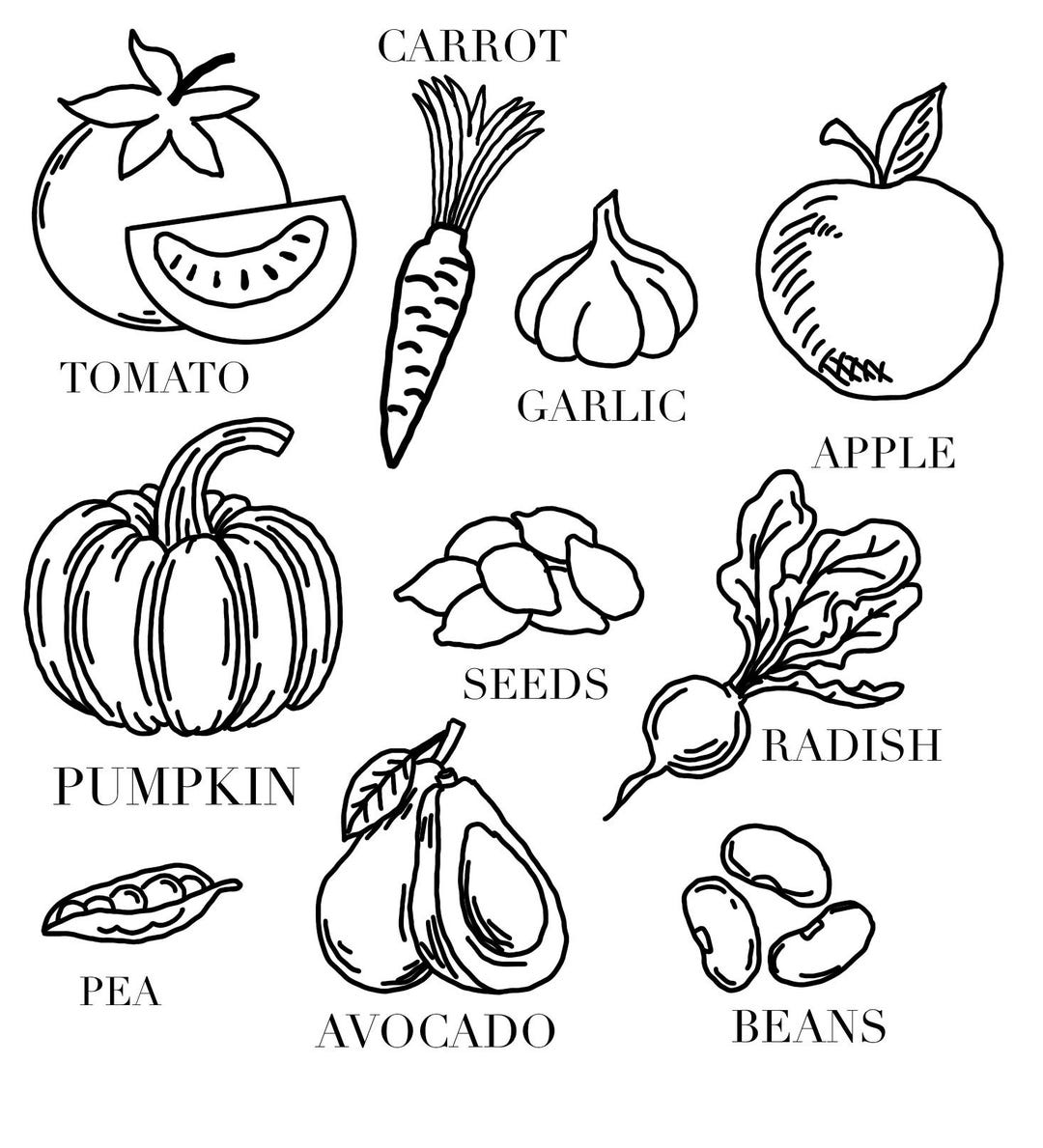 Farmer’s Market Vegetable PNG Set | Hand-drawn Garden Produce Clipart ...
