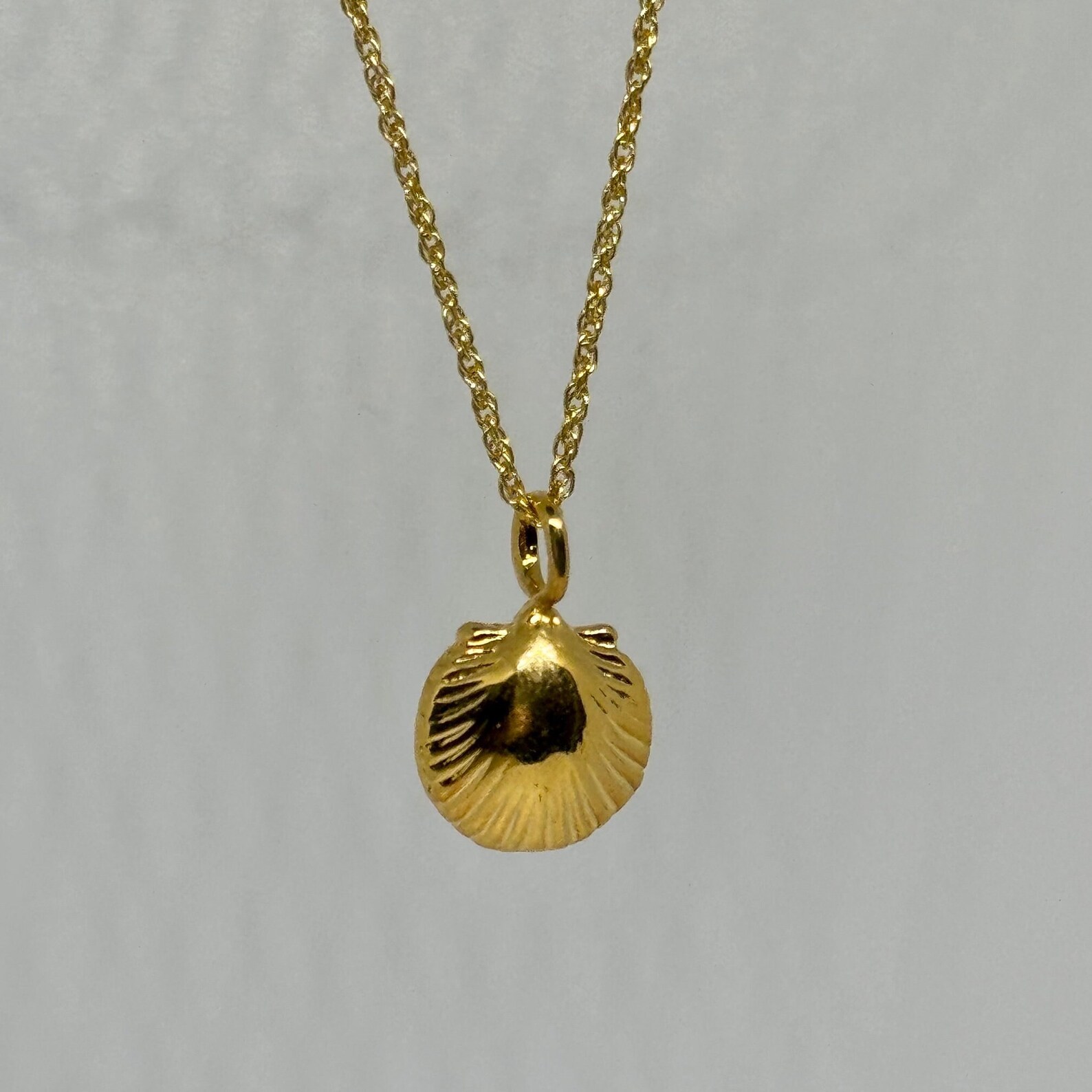 925/V.G Sea Shell/sand Dollar Sterling Silver/vermeil Gold Rope Chain ...