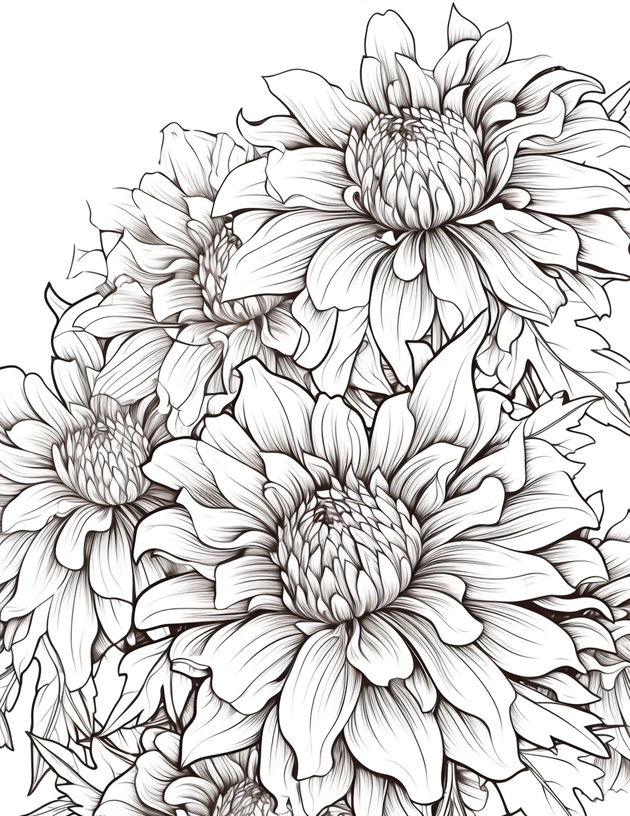 Flower Coloring Book Digital Download Print at Home - Etsy