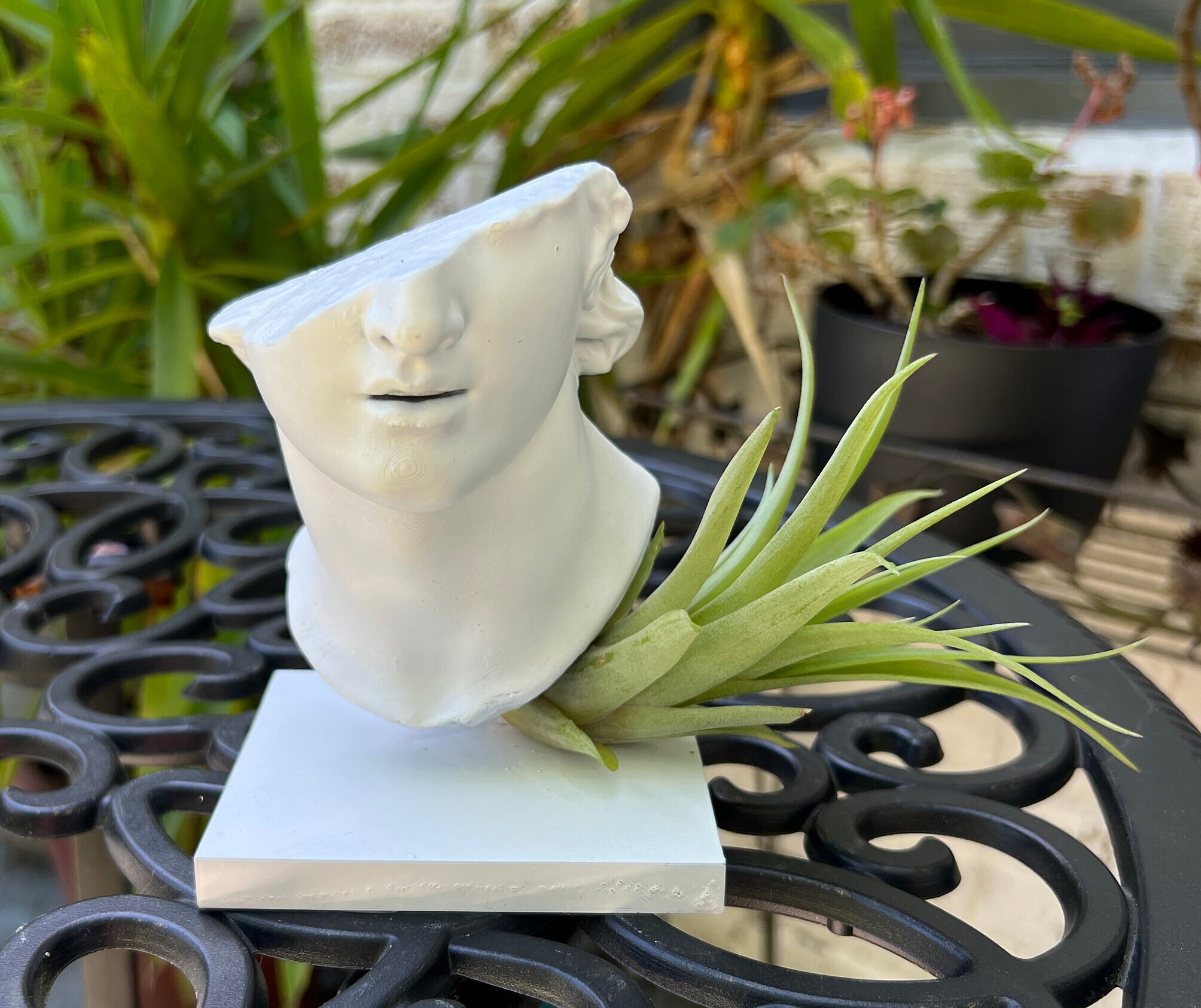 Air Plant Statue: Fragmentary Colossal Head of a Youth - Etsy