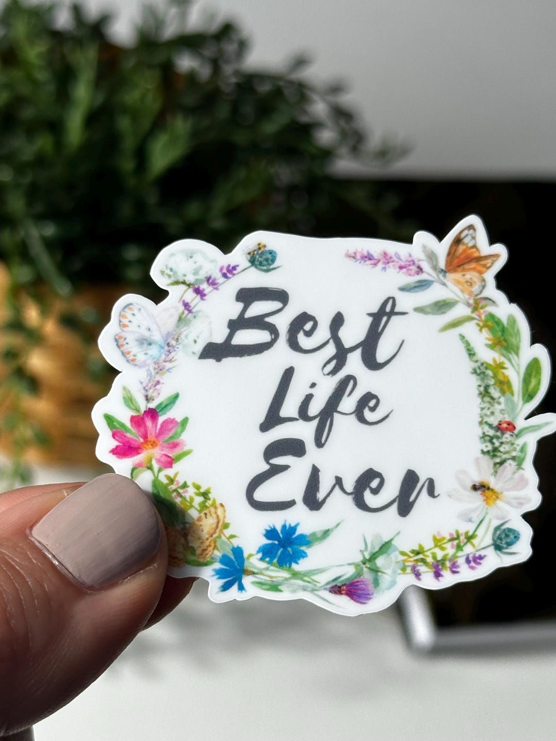 Best Life Ever Vinyl Sticker 5x6cm Best Life Ever JW Sticker Pioneer ...